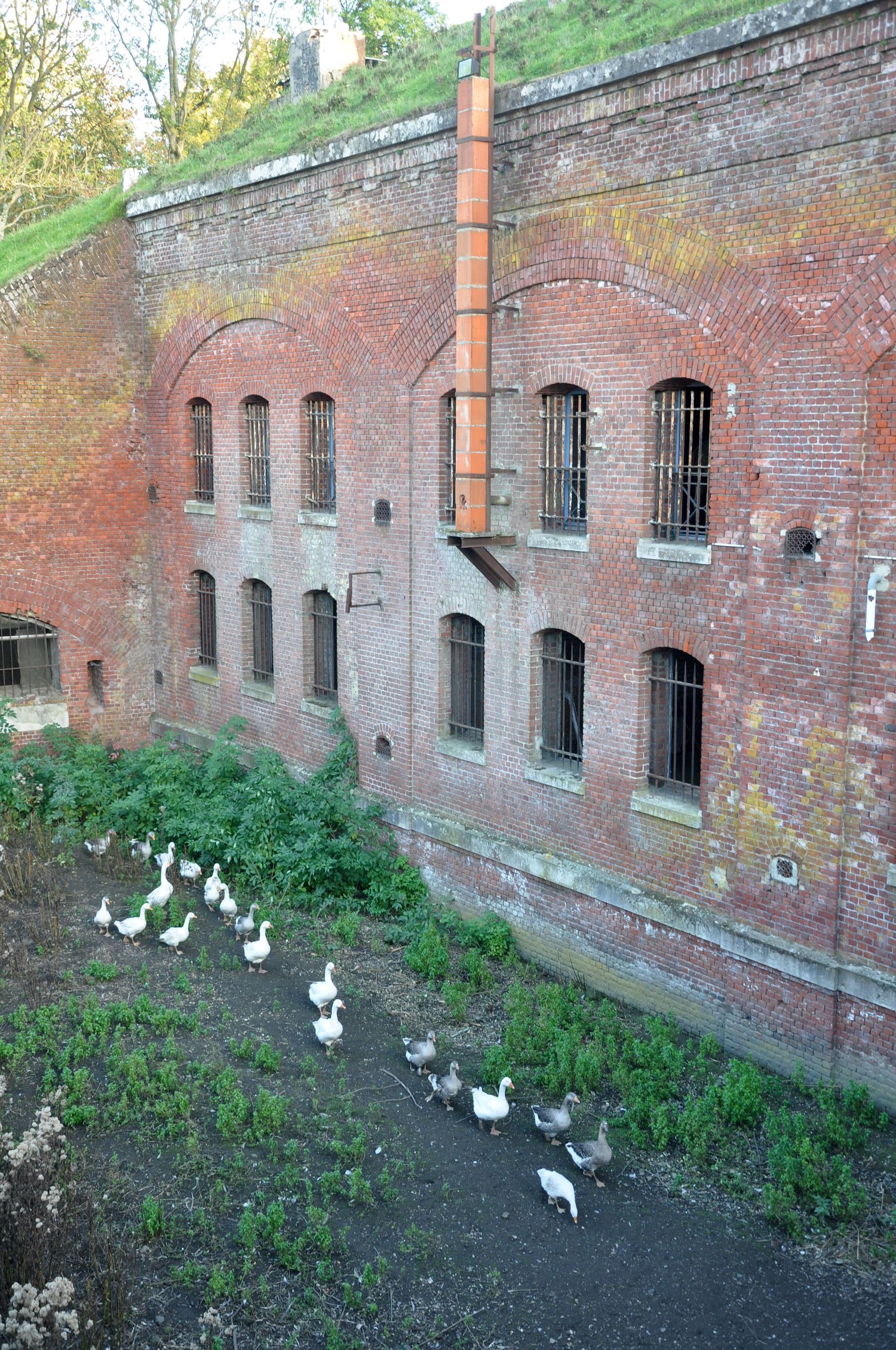 Journées du Poilu 2018 au Fort de Seclin - Wheels and Co